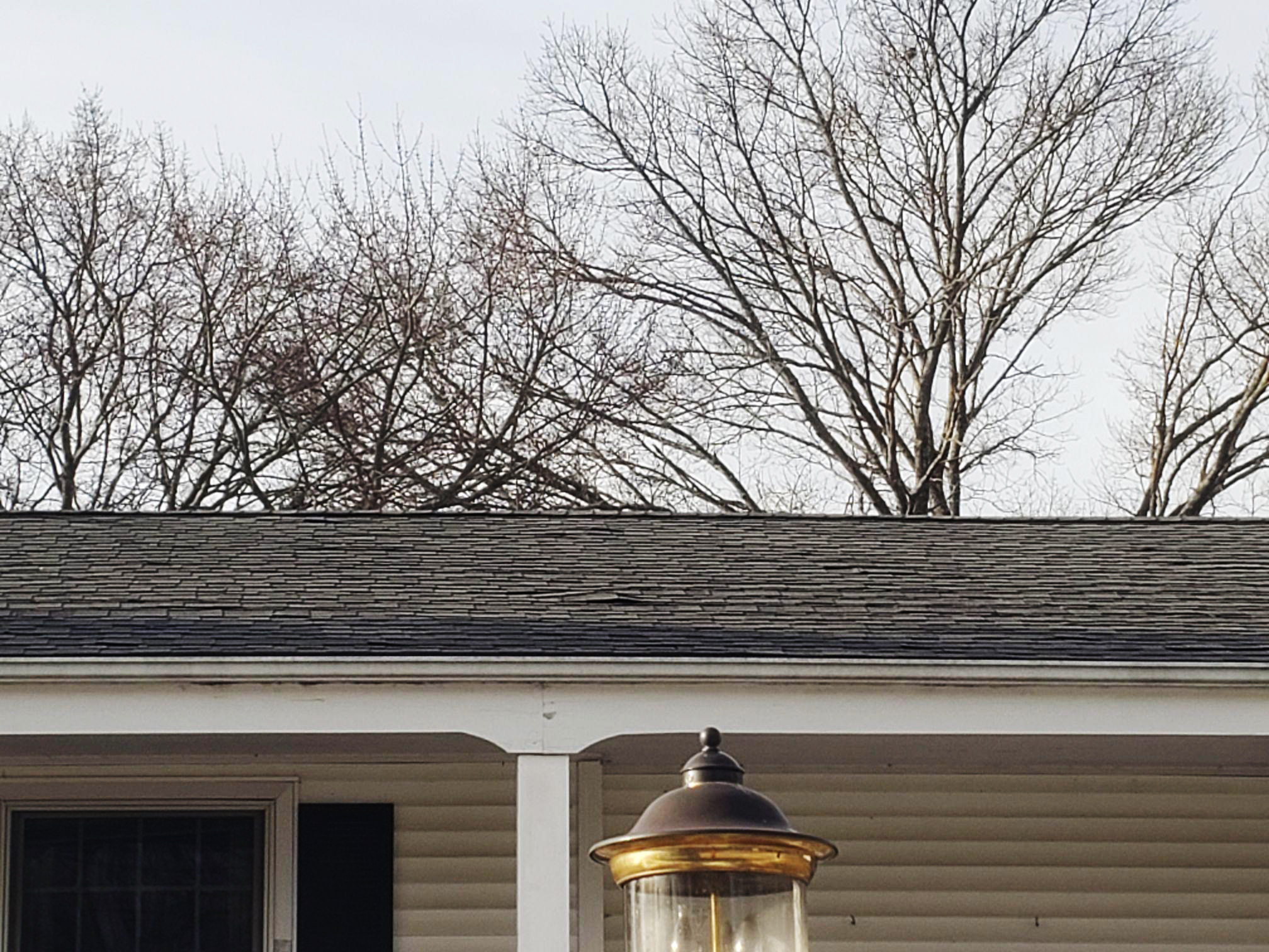 Seaberg Construction: Do You Really Need A New Roof?