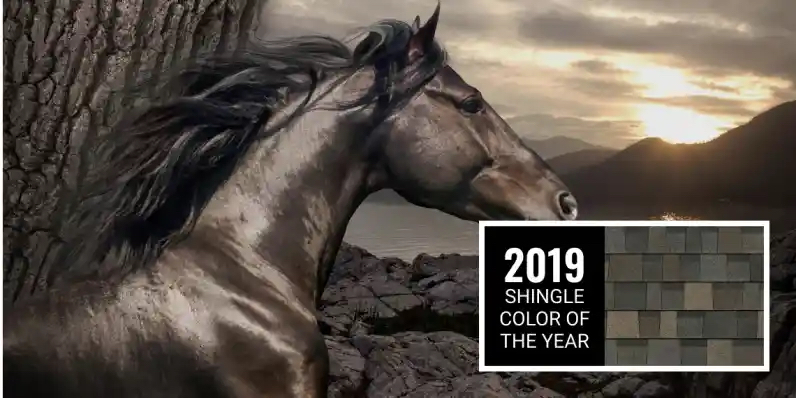 Owens Corning Designer Shingles: Past, Present and Future Colors