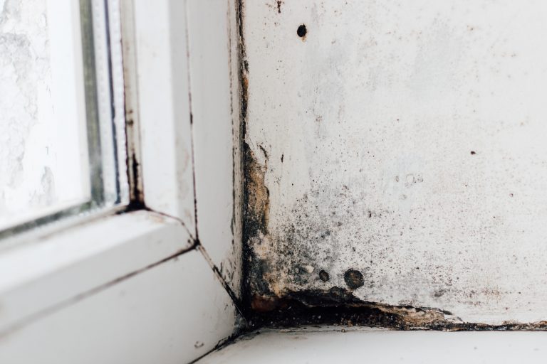 Blog: How to Spot Water Damage on Your Home’s Exterior